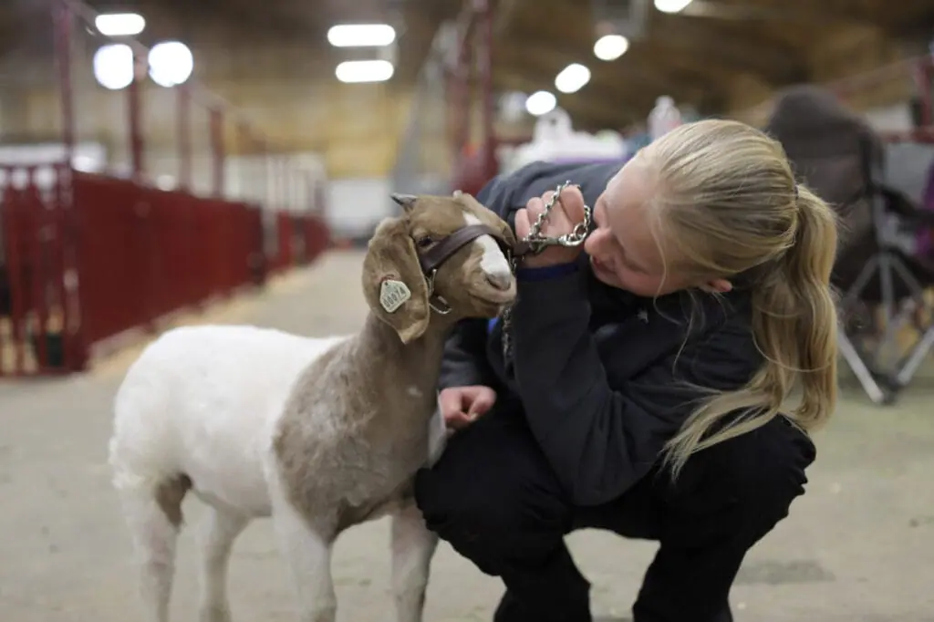 Online Public School in Tennessee - Tennessee Virtual Academy