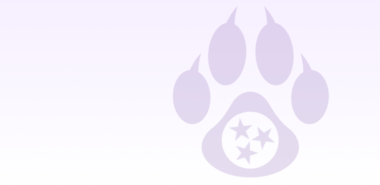 About Our School - Tennessee Virtual Academy